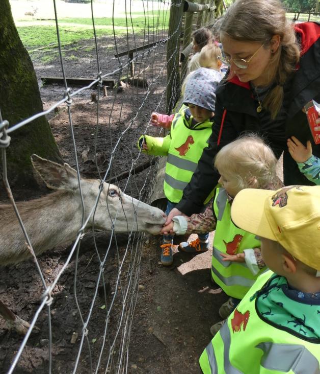 Großzügige Spende: Beidenflether Kita-Kinder besuchen Wildpark