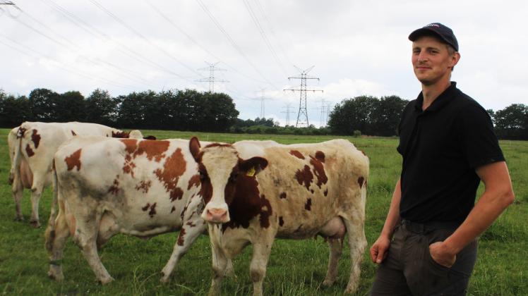 Vieh unter Solarzellen: Das sind die Pläne von Hauke aus Kropp