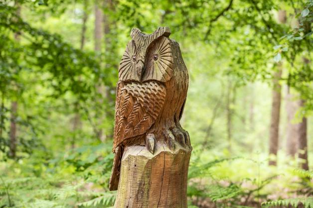 20 Jahre Friedwald Hasbruch: Letzte Ruhe in der Natur