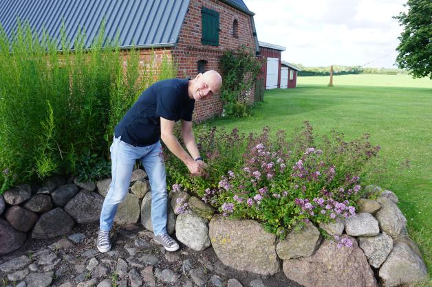 Ingwer, Zwiebel, Minze: Dr. Michael Weiß kennt alte Heilmittel