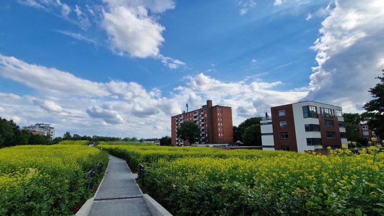 A7-Deckel Stellingen fertig: So sieht die Parkanlage jetzt aus