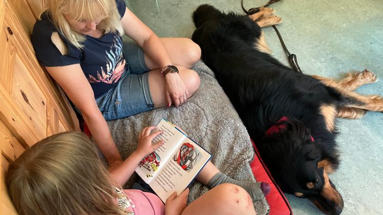 Lesehund Hennes: So bringt der Hovawart Emma (7) das Lesen bei | SHZ