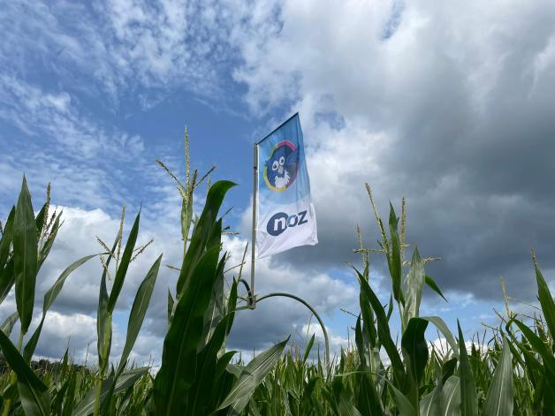 In 26 Jahren ist im Mais-Irrgarten in Emsbüren viel passiert