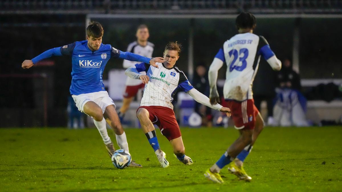 Hamburger SV II: Was steckt in der Rothosen-Wundertüte?