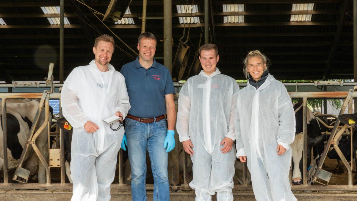 Auf Bissendorf Hof Westrup wird an Sensor für Kuhfutter geforscht