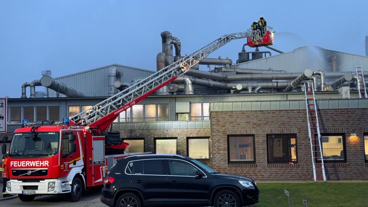 Feuer bei Ten Kate in Sögel: Feuerwehr verhindert Schlimmeres