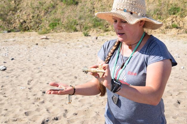 Feuerstein bis Fossil: Diese Schätze findet man am Ostsee-Strand