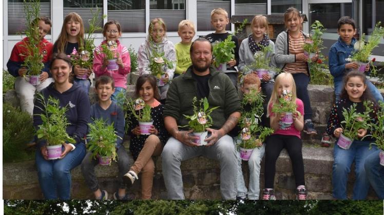 Große Bienenaktion in der Grundschule Rotenhof | SHZ