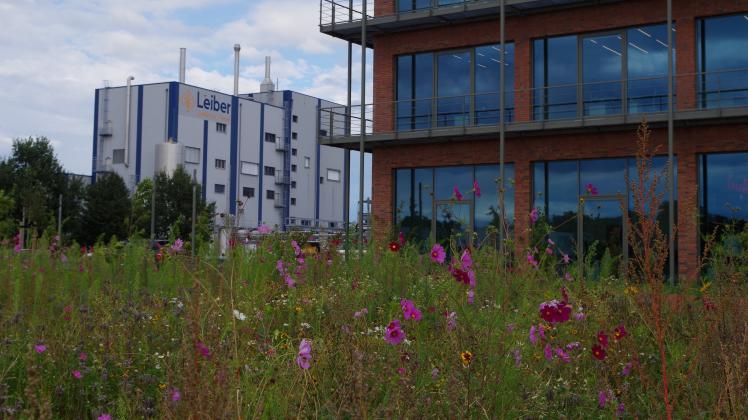 Erfolg mit Bierhelfe: Firma Leiber in Bramsche feiert Jubiläum