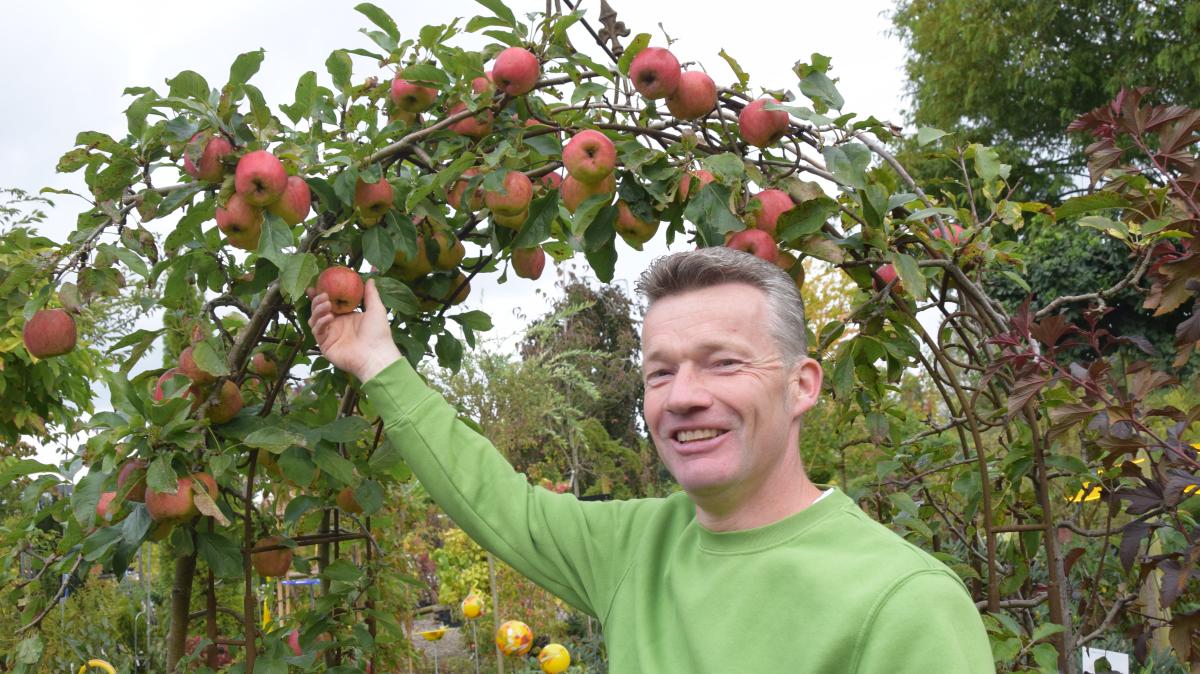 Der perfekte Apfel im eigenen Garten: Experten geben Tipps | SHZ