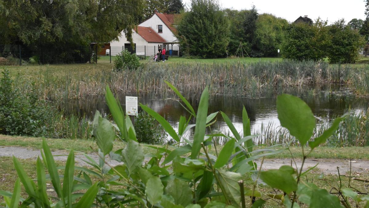 Delmenhorst: Linke favorisiert IGS-Ausbau statt neues Gymnasium