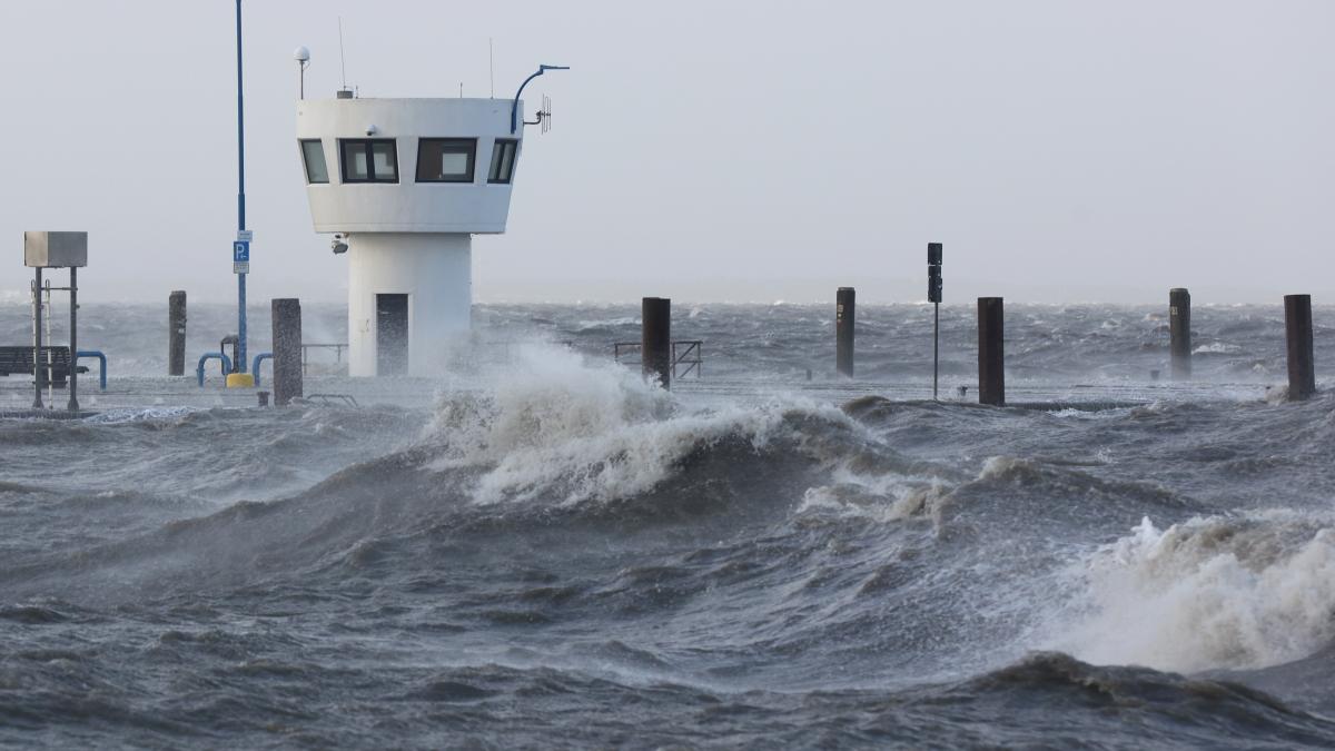 Tsunami in der Nordsee? So gefährlich sind Riesenwellen für SH | SHZ