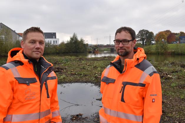 Bramsche: Warum der Kahlschlag am Hasesee gut für die Natur ist