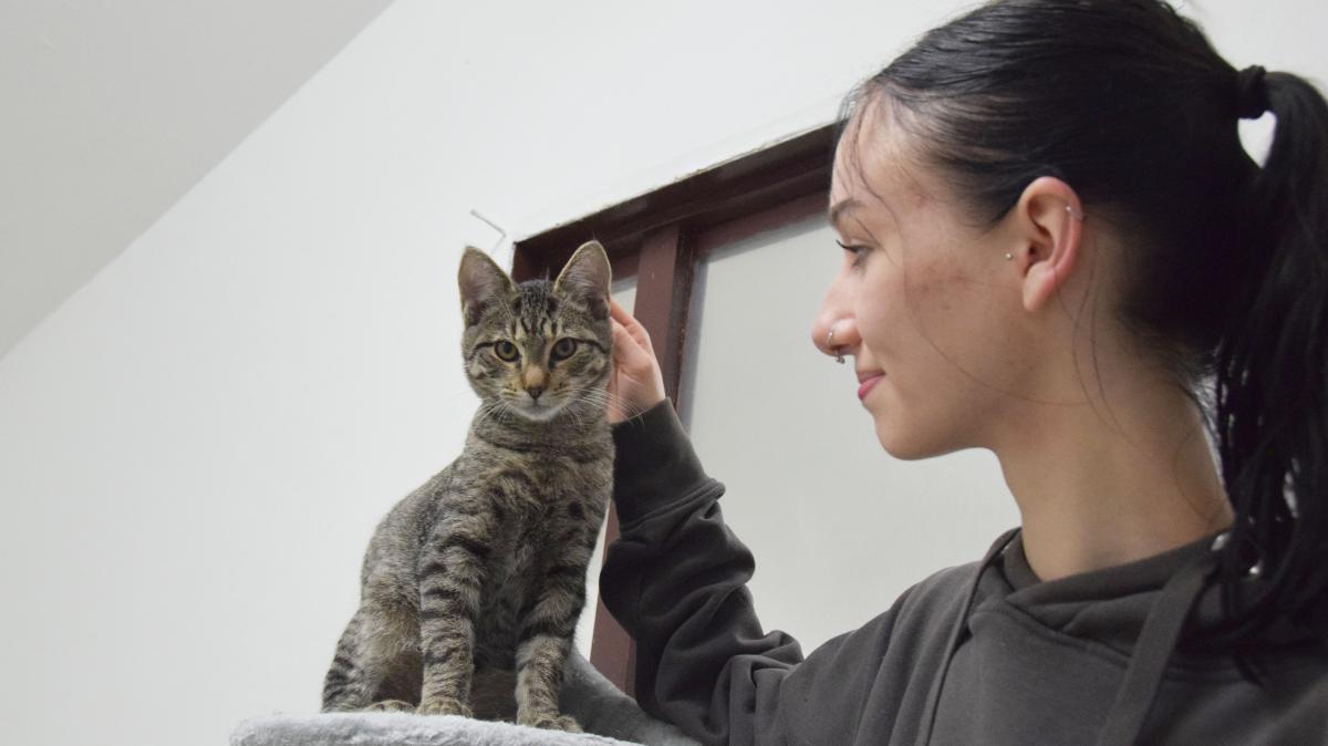 Rendsburg: Alle müssen ein Herz für das Tierheim zeigen