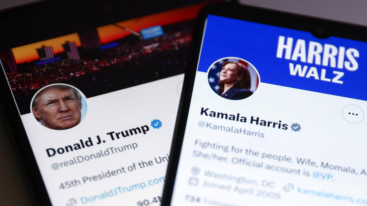 Was Deutschland nach der US-Wahl blüht: „Größte Sorge sind Zölle“