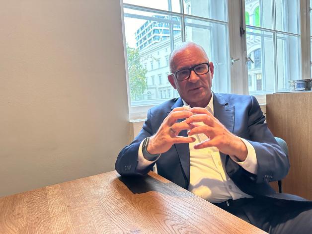 AfD-Verbot: Was Staatsrechtler Volker Boehme-Neßler davon hält