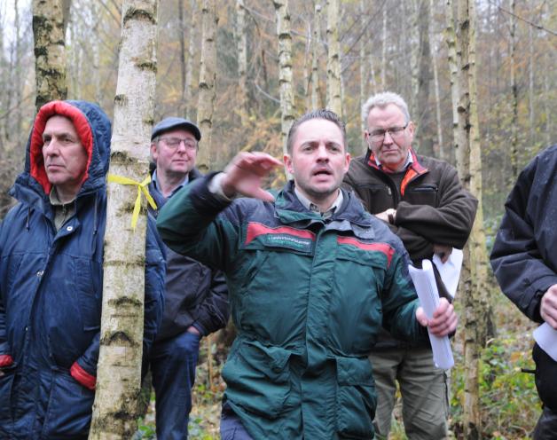 Wildwuchs statt Aufforstung: Wie entwickelt sich Wald in Melle?
