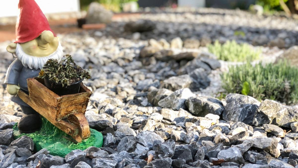 Kontrollen in Spelle: Landkreis Emsland prüft Schottergärten | NOZ