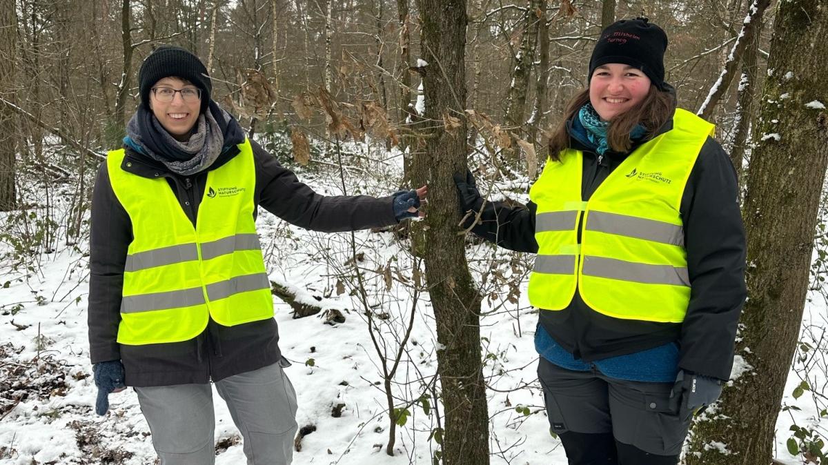 Info-Spaziergang zur Waldentwicklung im Stiftungsland Nordoe | SHZ