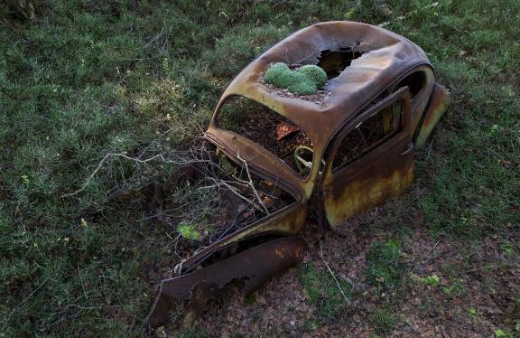 In Bildern: Warum in Niedersachsen Oldtimer im Moor verrotten