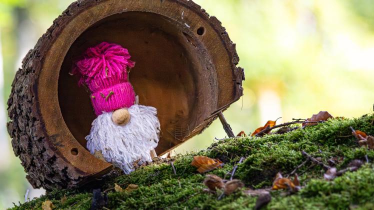 Kreative Wichtel-Ideen aus Naturmaterialien zum Nachmachen