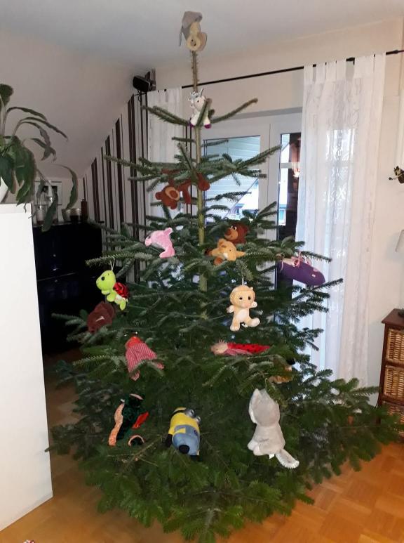 Verrückte Tannen: Irre Weihnachtsbäume trenden in Osnabrück