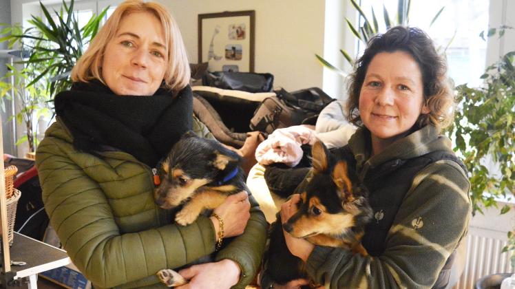 Jahresrückblick Tierheim Sylt: Gute Quote bei Vermittlungen 2024