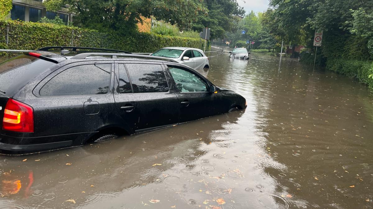 Klimaschutz in Quickborn: Diese 21 Maßnahmen plant die Stadt