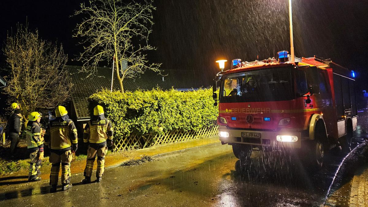 Nach Sturm an Silvester: Baum stürzte in Pinneberg auf Fahrbahn