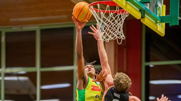 Basketball: Fabian Giessmann bei Hamburg Towers und SC Rist Wedel