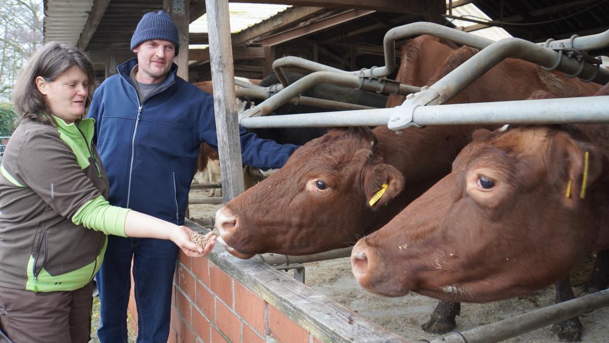 Bockhorst: Krankenkasse wird für Landwirt Thomas de Groot teuer