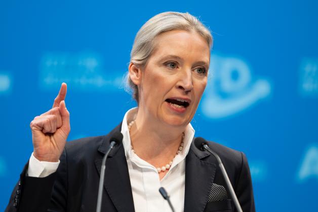 Alice Weidel - „Eiserne Lady“ ist ein Social-Media-Star in China