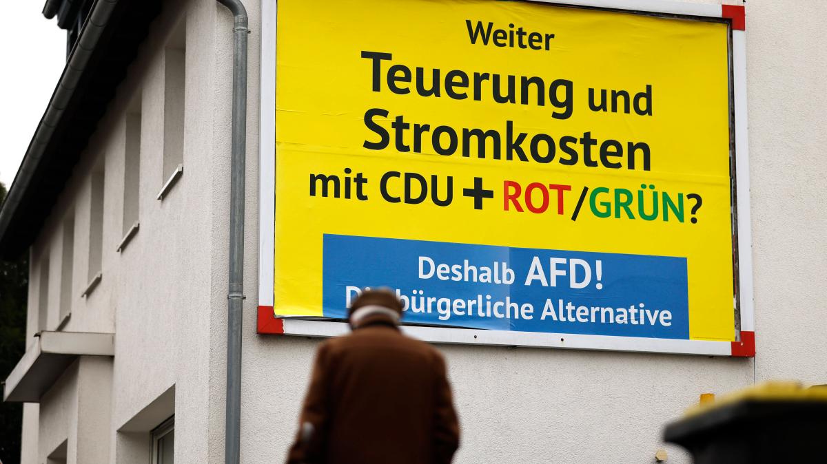 AfD-Plakatspende: Steckt deutscher Milliardär dahinter?