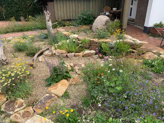 So hat Familie Ferderer aus Belm ihren Vorgarten verwandelt