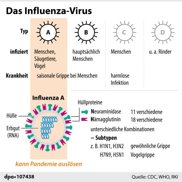 Influenza: Grippewelle flaut ab – andere Infektionen nehmen zu