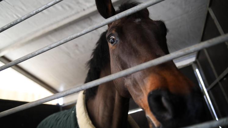 Madlen Boy: Deutsches 19-jähriges Reit-Talent stirbt nach Sturz