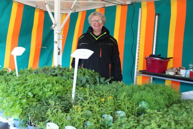 Nur geringe Gewinne: So will Lathen seinen Wochenmarkt sichern