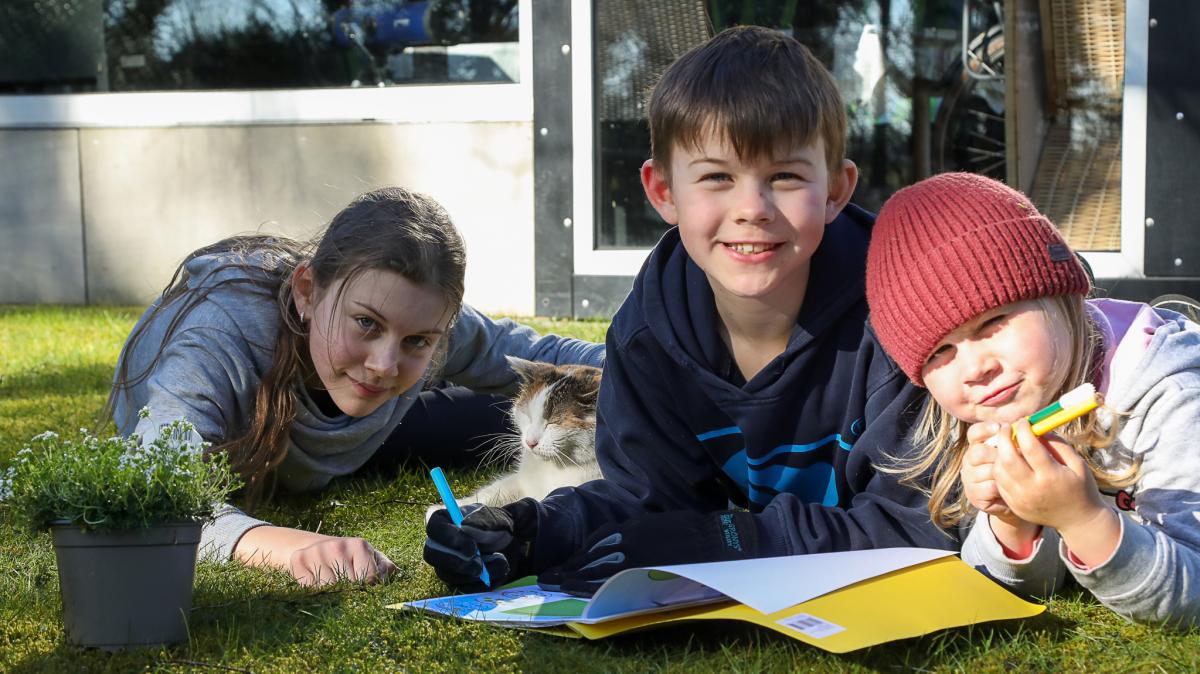 Kinder bringen Bargum zum Blühen: Insektenparadies im Garten