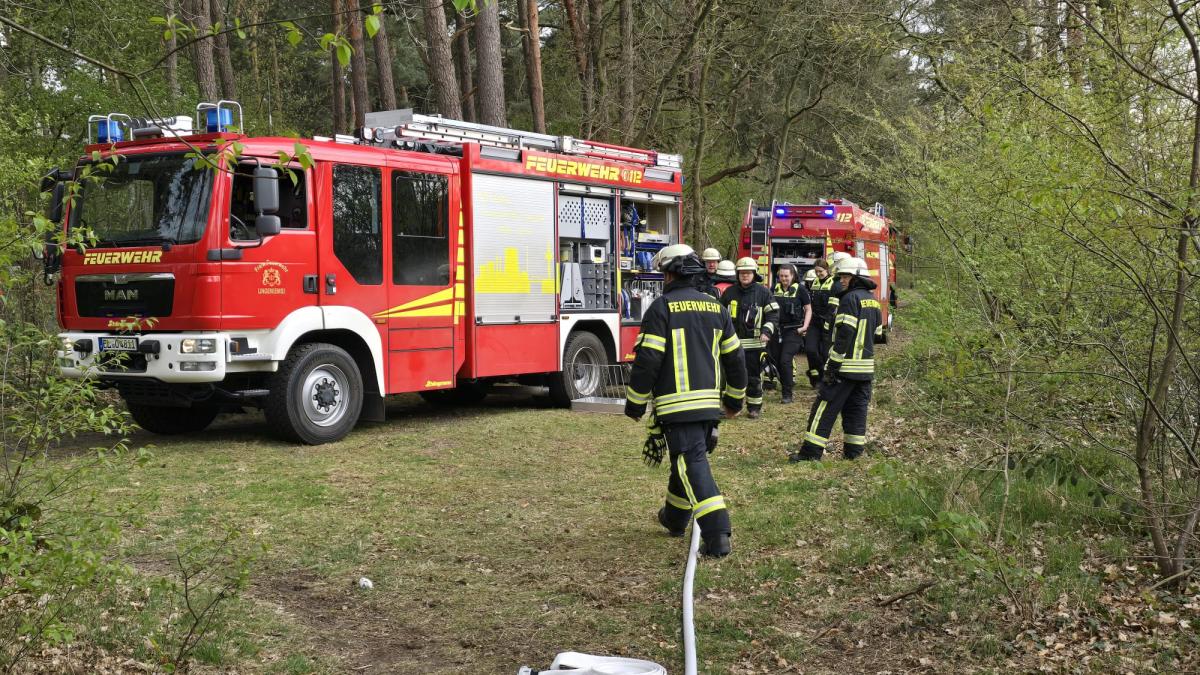 Lingen: Waldbrand in Lingen von der Feuerwehr schnell gelöscht
