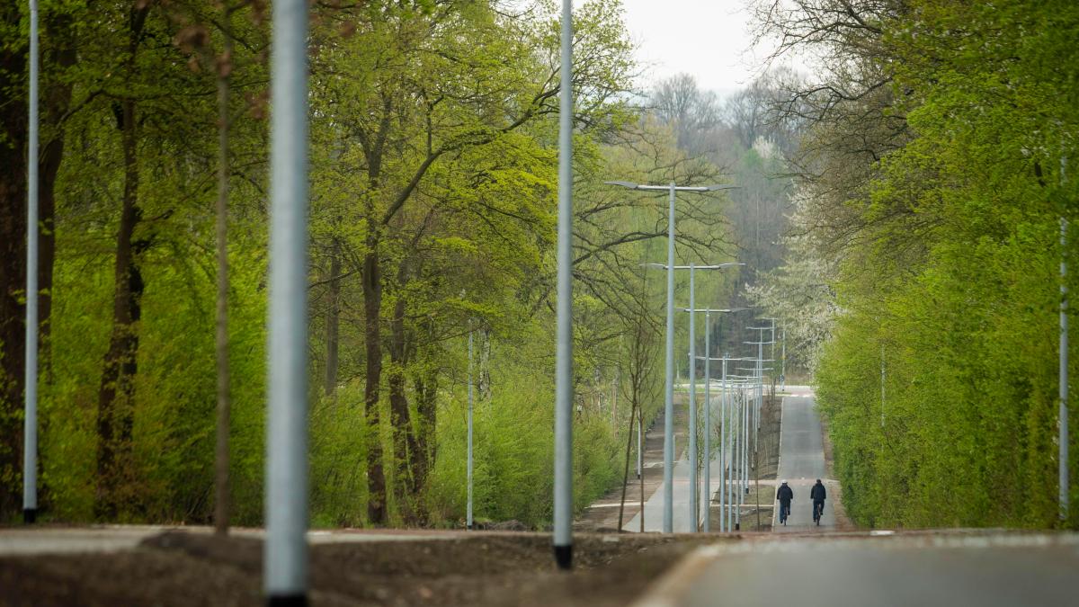 Osnabrücker Dodesheide landet beim NOZ-Check in den Top zehn