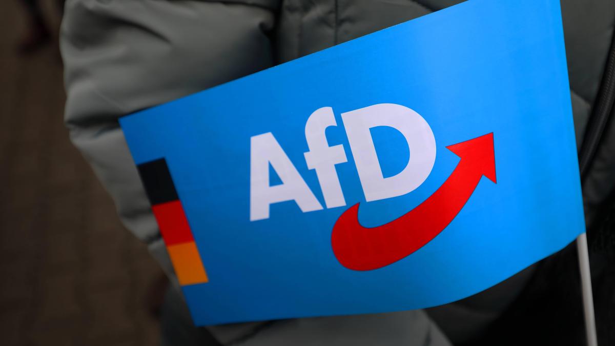 Das sagen die Parteien in SH zur neuen Einstufung der AfD