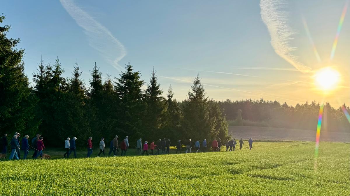 Frühwanderung Maiburg: Ein Morgen voll Natur in Bippen