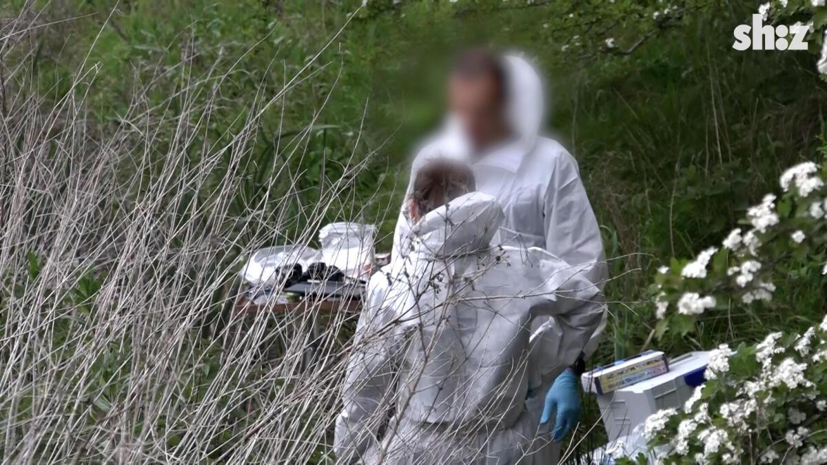 Tote Frau auf Fehmarn entdeckt - Mordkommission ermittelt