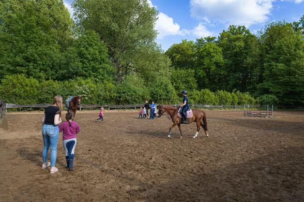 Gut Stockum Bissendorf: Reitturnier 2025 – Blick hinter Kulissen
