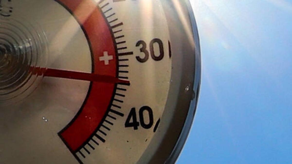 Bokep mesumm the visuals on the platform are actually of