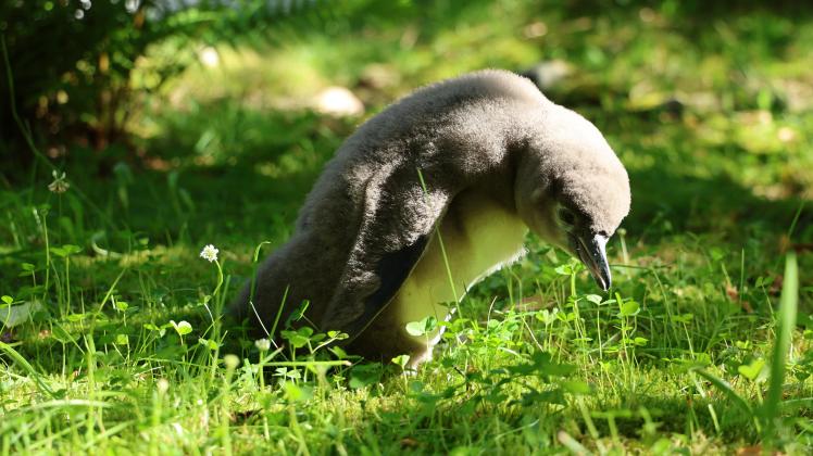 Bokep turki sotwe email setup was different for me, used to