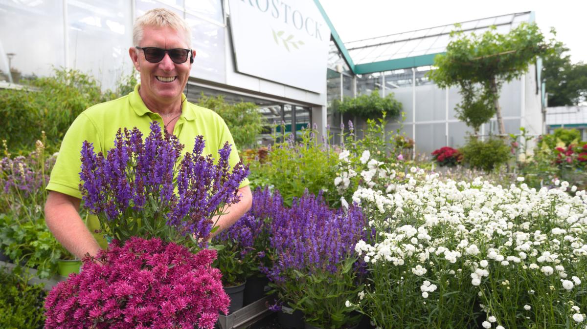 Bokep supindo dfk, daty, and an unforgettable oral session