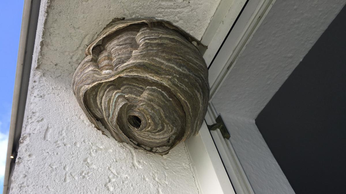 Rachel jade sexe i was feeling the urge and texted PPS if