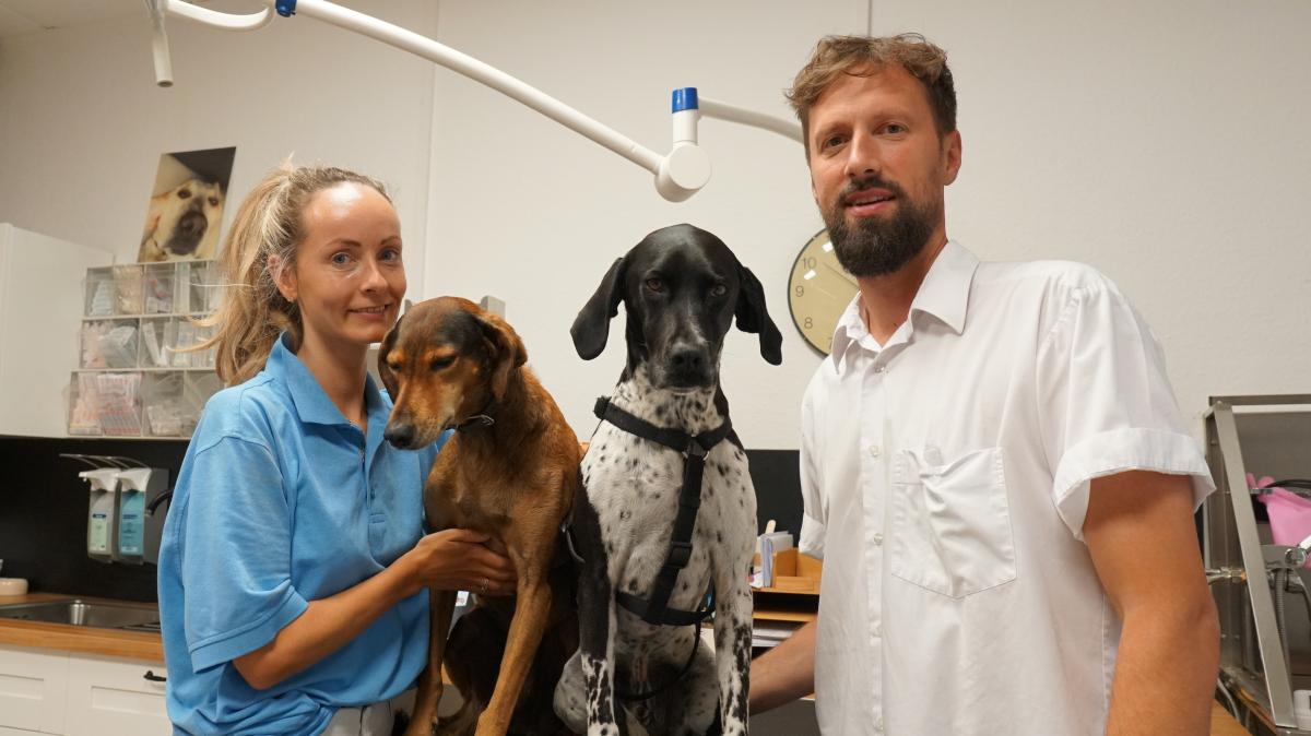 Warum Philipp und Yola Meinck Hunde aus Auslandstierheimen retten