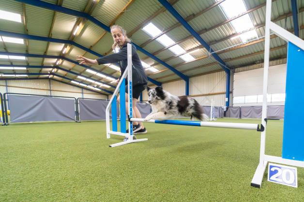 Hundesporthalle in Lünne: Agility begeistert Hundefans im Emsland